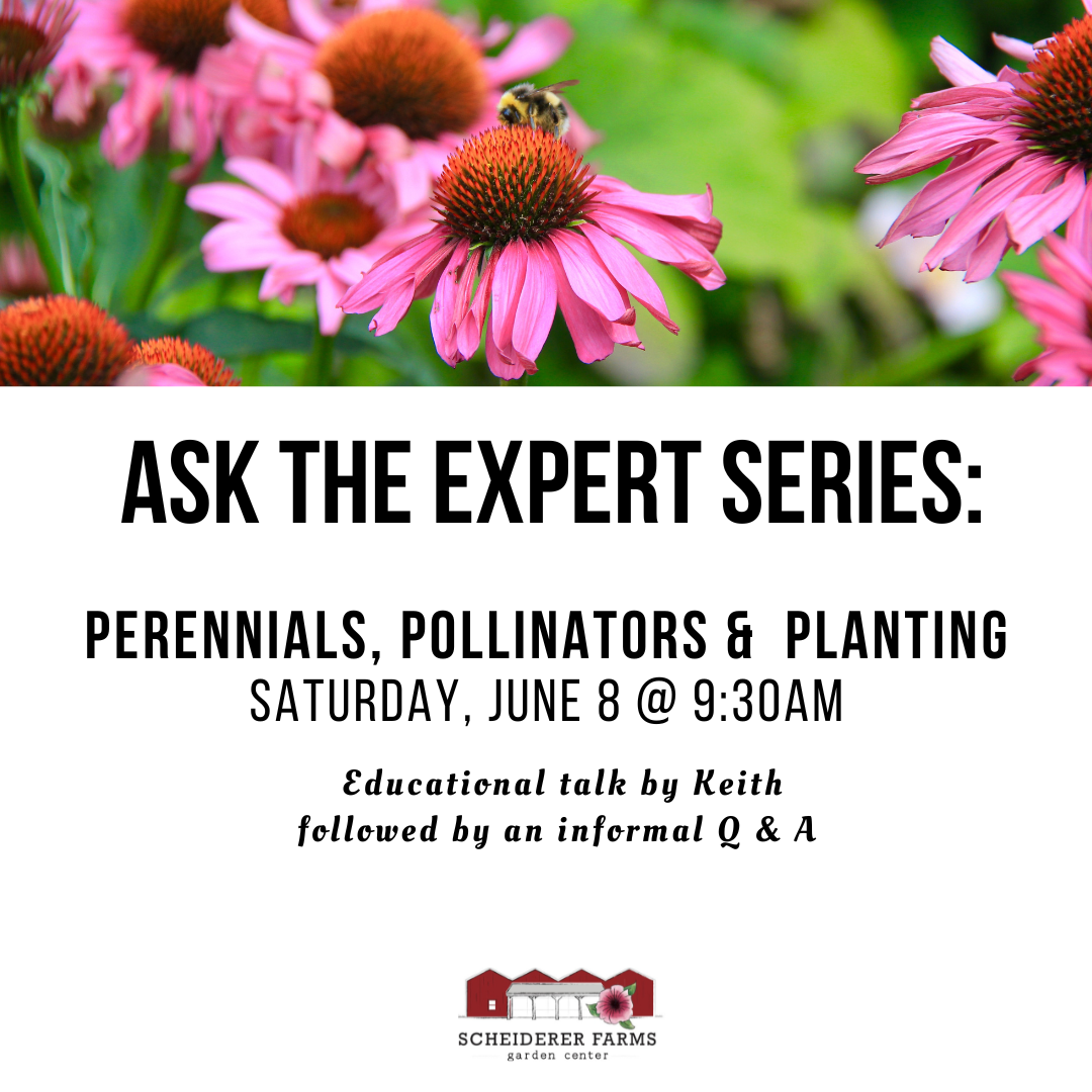 Ask the Experts: Perennials, Pollinators & Planting | Scheiderer Farms